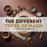 Different Types of Hash & How It's Made | Eden Goods