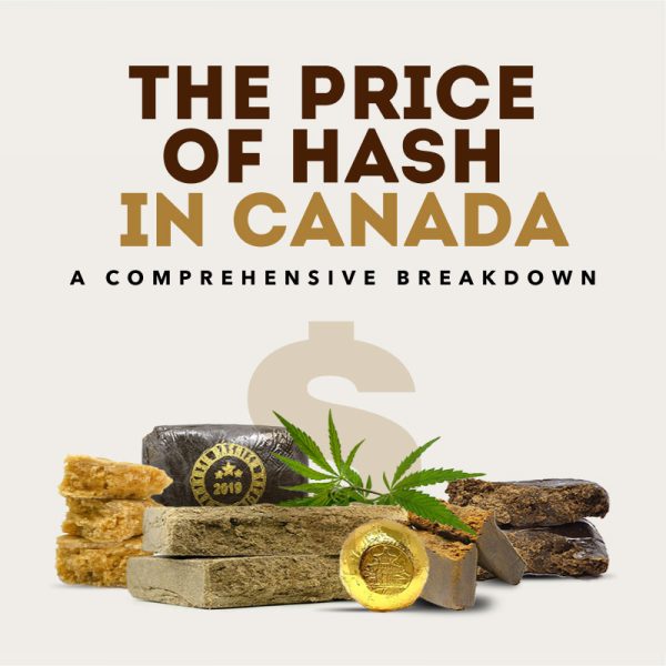 Order Hash Online Canada from $99oz | Best Hash MOM Canada | Eden Goods